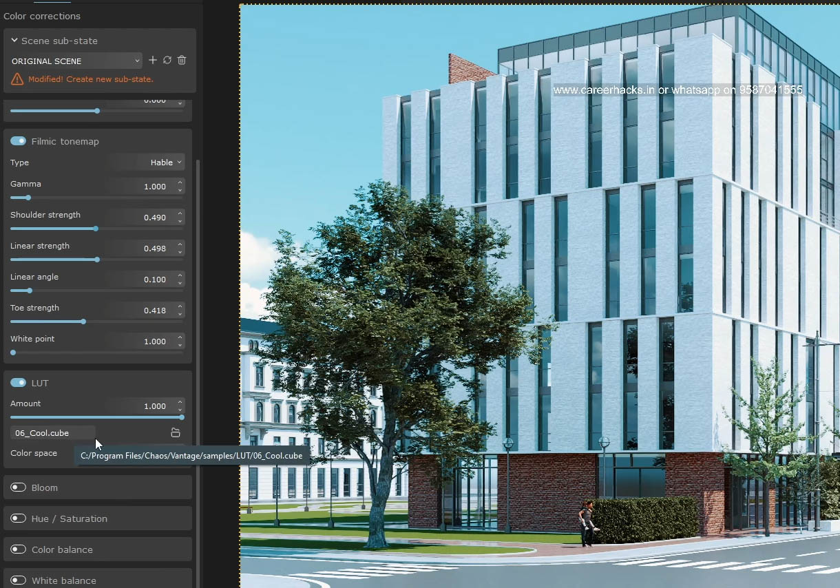 Ess – 03 Color Correction tab – Career Hacks